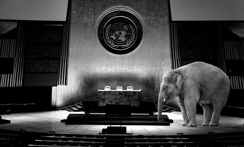 Grand corruption - Our priorities - Transparency.org