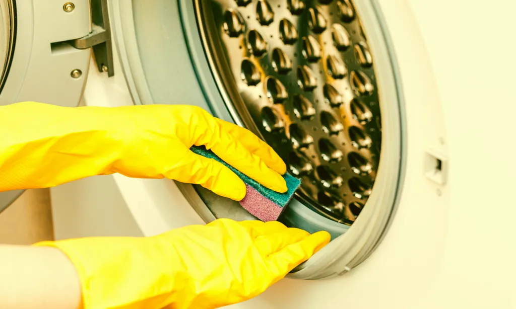 Germany - Transparency.org