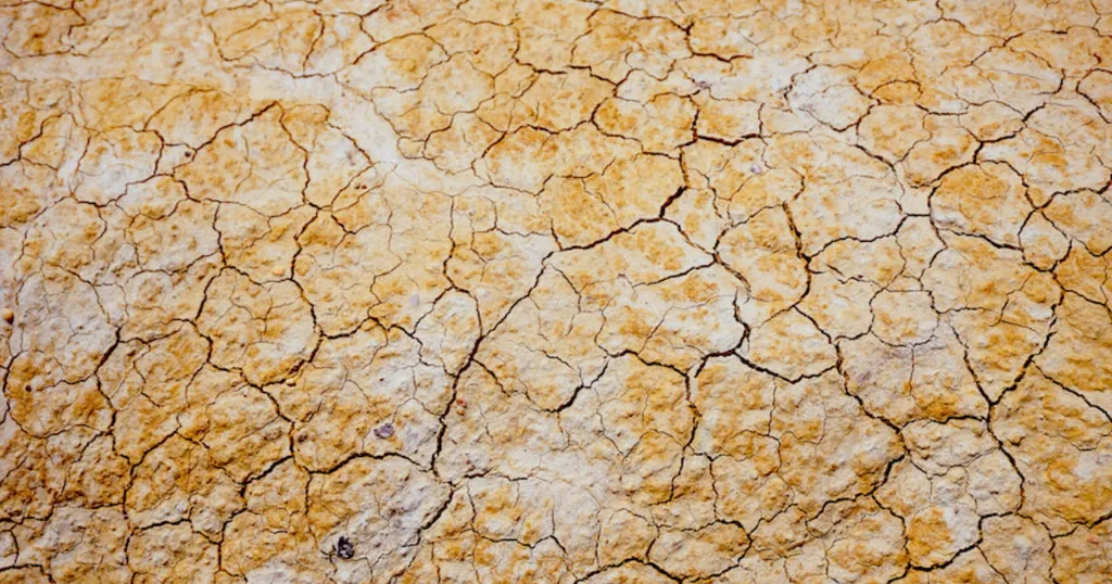 How corruption affects climate change - News - Transparency.org