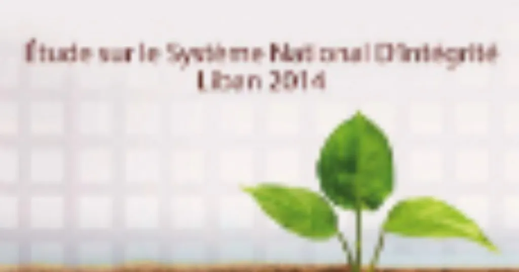 Étude sur le Système National D'intégrité Liban… - Transparency.org