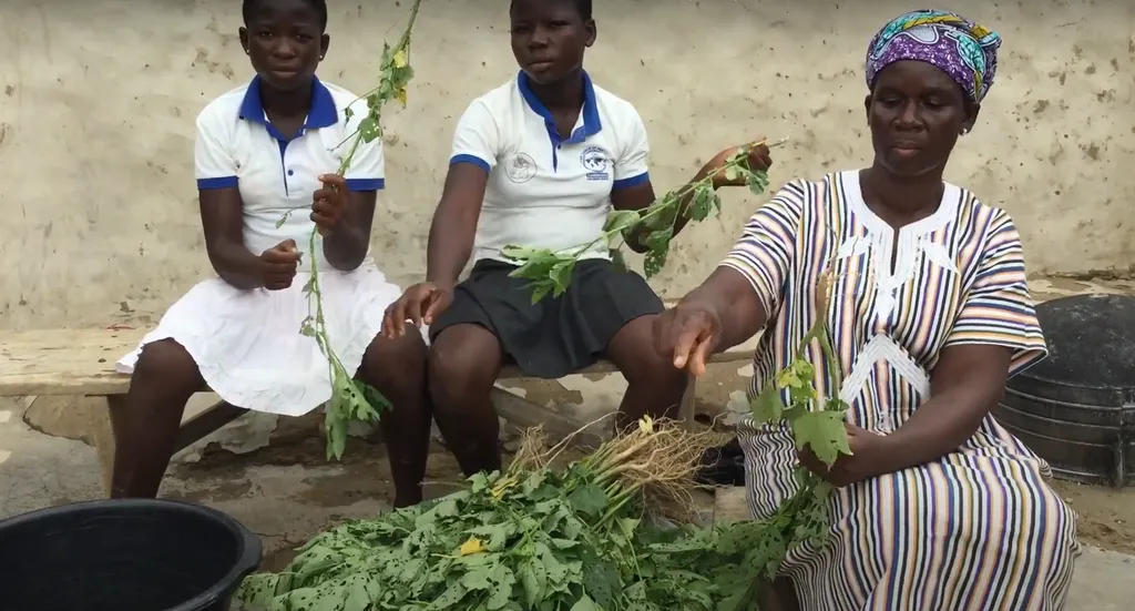 Zimbabwe - Transparency.org